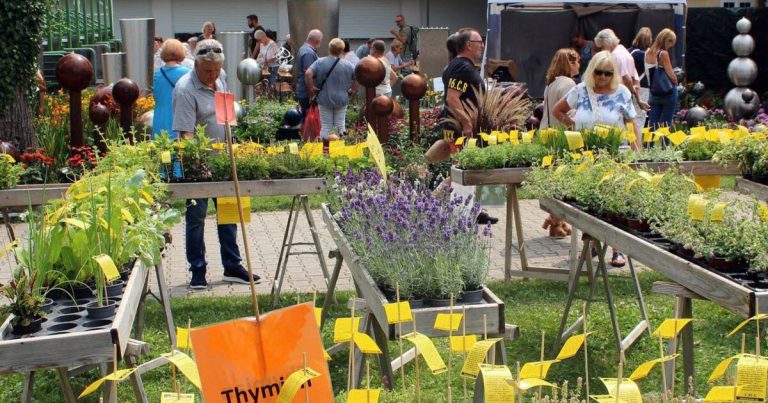 Salon Diga à Weil am Rhein : découvrez tout l’univers du jardinage ce ...